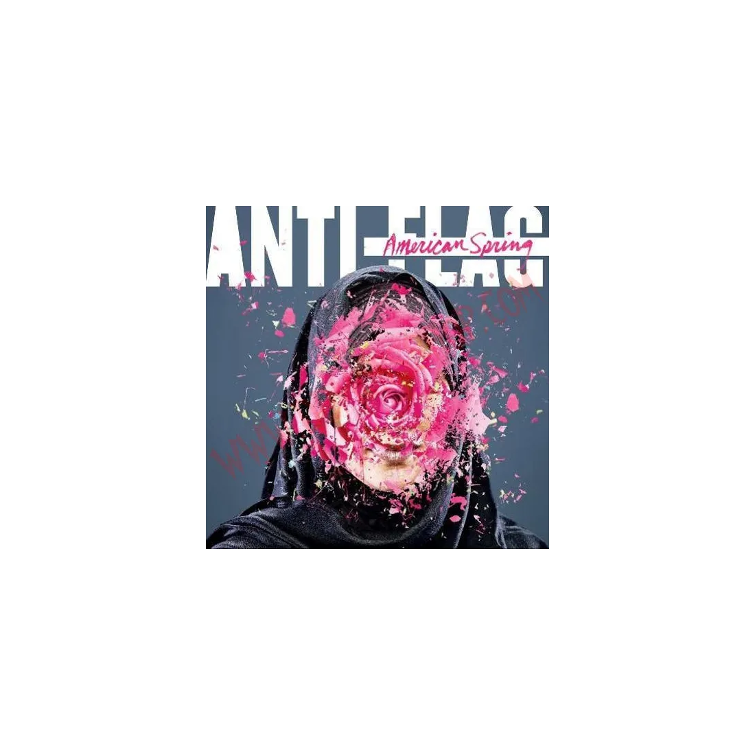 Vinilo LP Anti-Flag ‎– American Spring